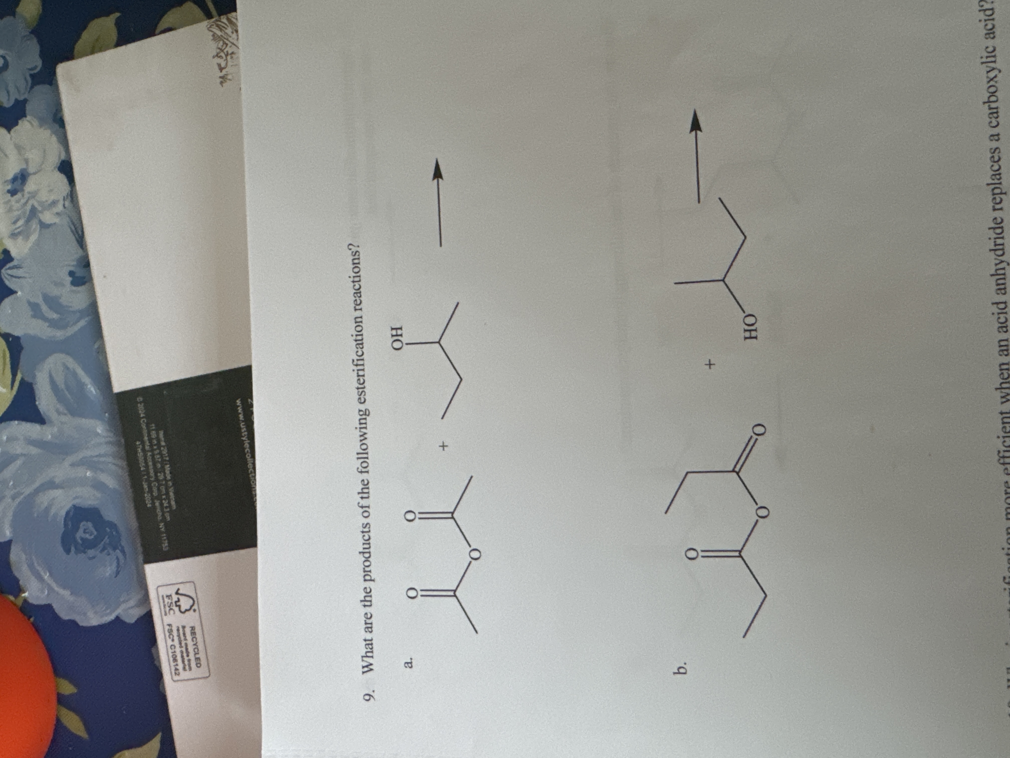 Solved What are the products of the following esterification | Chegg.com