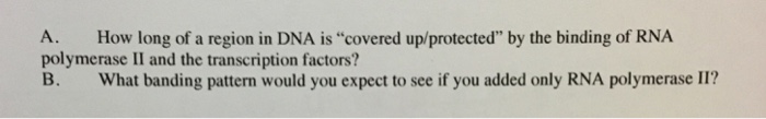 Solved 11) A researcher performed a DNase footprinting | Chegg.com
