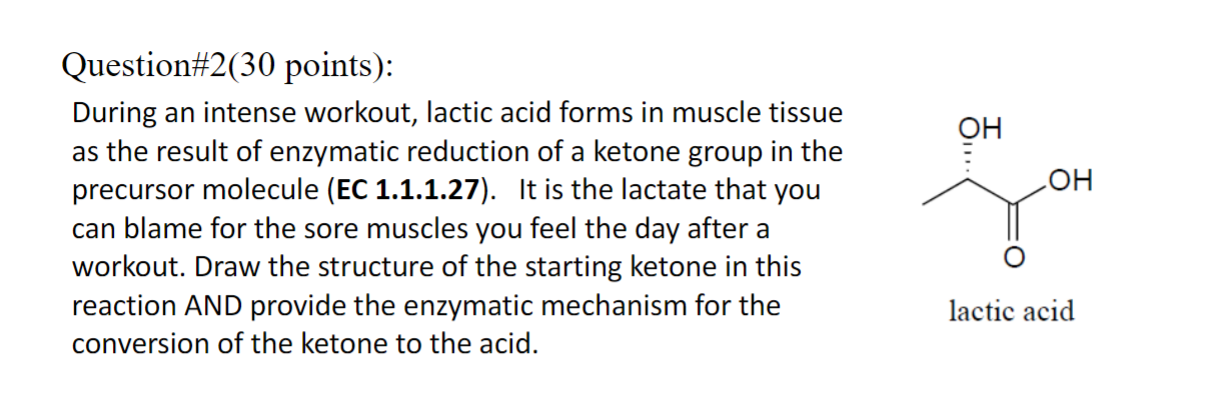 Solved Question\#2(30 points): During an intense workout, | Chegg.com