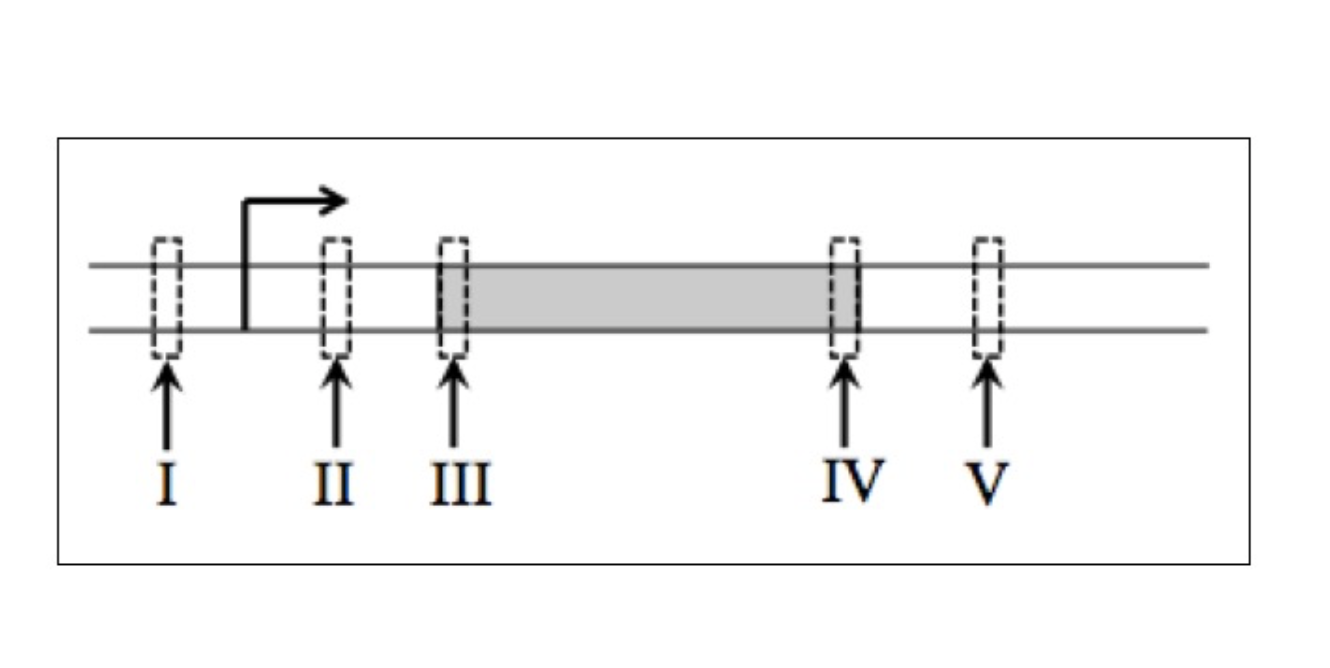 Solved The horizontal lines in the figure (same figure as | Chegg.com