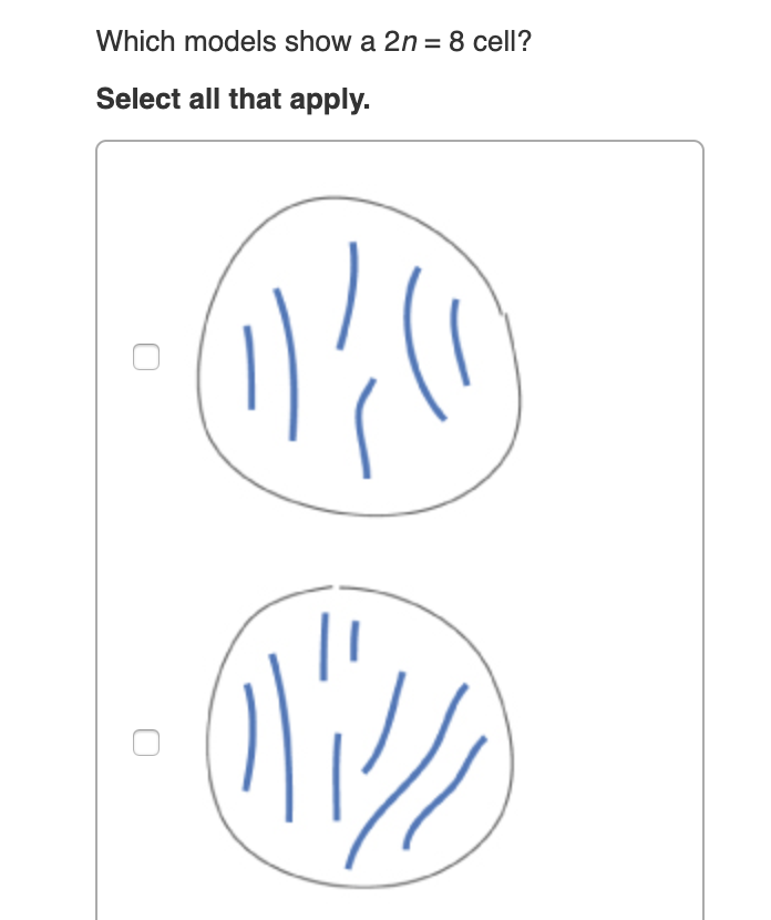 Solved Which models show a 2n = 8 cell? Select all that | Chegg.com