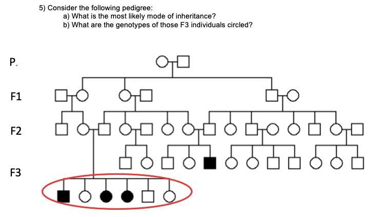 Solved 5) Consider the following pedigree: a) What is the | Chegg.com Solved 5) Consider the following pedigree: a) What is the | Chegg.com
