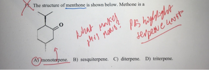 Solved The structure of menthone is shown below. Methone is | Chegg.com