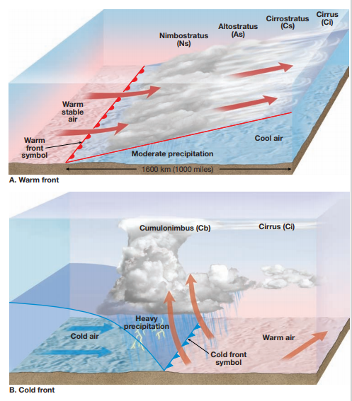 Solved Please explain all answers! Thank you! D) Comparing | Chegg.com