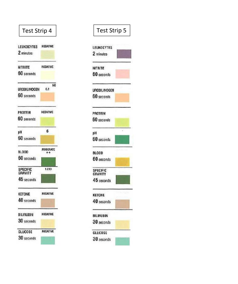 Solved Urinalysis Patients The urine test strip samples are | Chegg.com