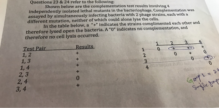 Solved Questions 23 & 24 refer to the following: Shown below | Chegg.com
