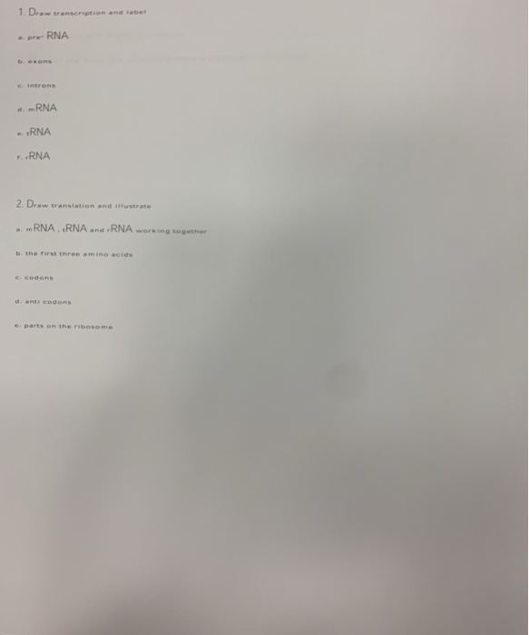 Solved 1. Draw transcription and label pre- RNA . RNA RNA | Chegg.com
