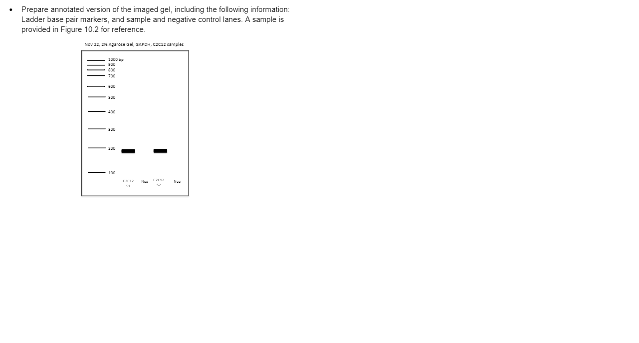 - Prepare annotated version of the imaged gel, | Chegg.com