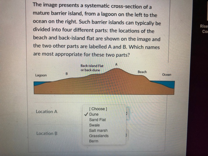 Barrier Island Cross Section