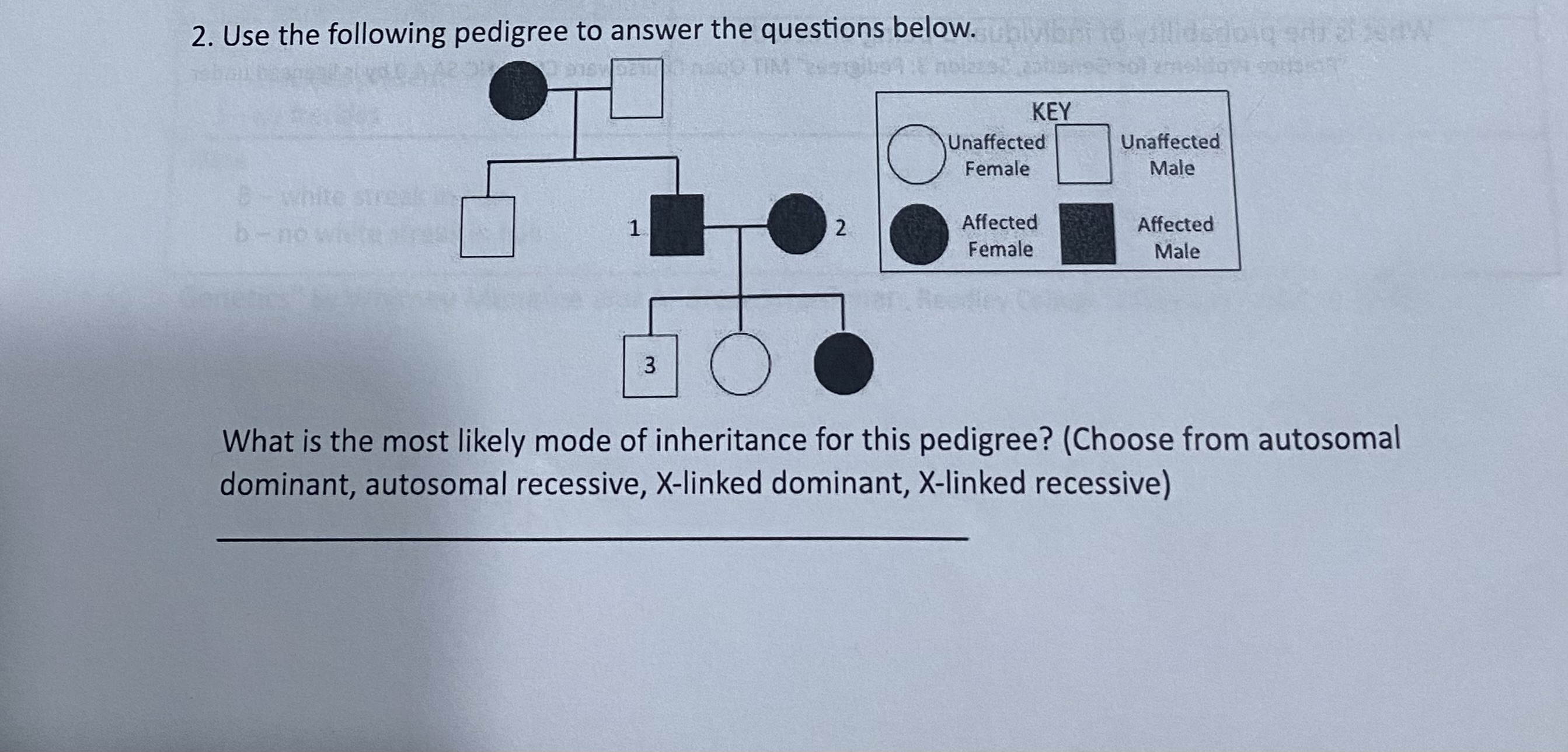 Solved Use the following pedigree to answer the questions | Chegg.com