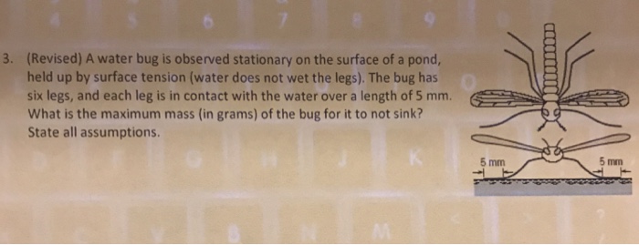 Solved (Revised) A water bug is observed stationary on the | Chegg.com