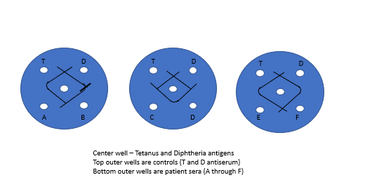 Solved Here is an example of a set of Ouchterlony results. | Chegg.com