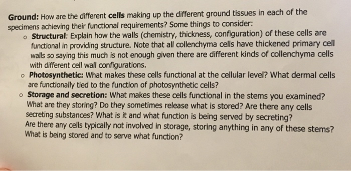 Solved Ground: How are the different cells making up the | Chegg.com