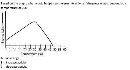Solved Based on the graph, what would happen to the enzyme | Chegg.com