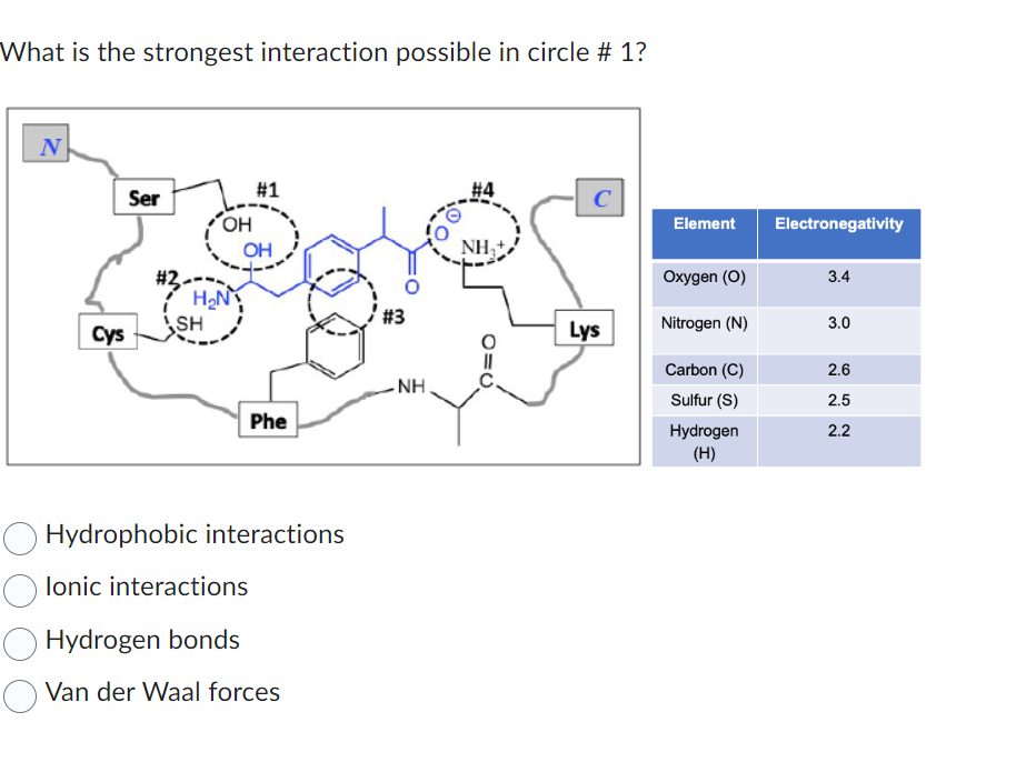 Solved What is the strongest interaction possible in circle | Chegg.com