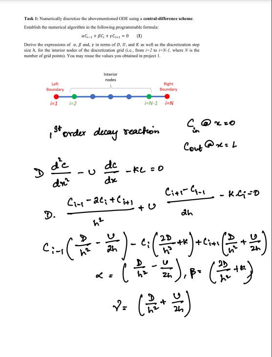 Solved Task 1: Numerically discretize the abovementioned ODE | Chegg.com