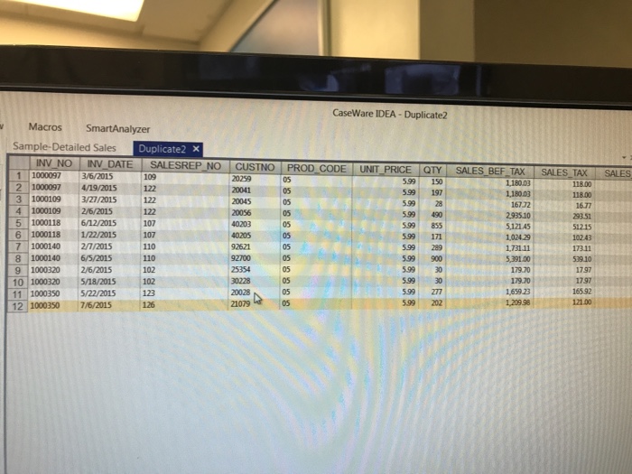 Solved CaseWare IDEA Duplicate2 Sample-Detailed Sales | Chegg.com