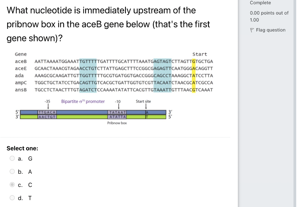Solved ΛWhat nucleotide is immediately upstream of the | Chegg.com