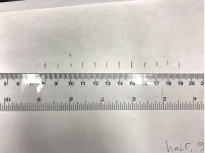 Hair diameter An experiment you can perform | Chegg.com