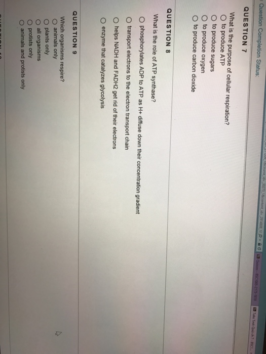 Solved Question Completion Status: QUESTION In the absence | Chegg.com