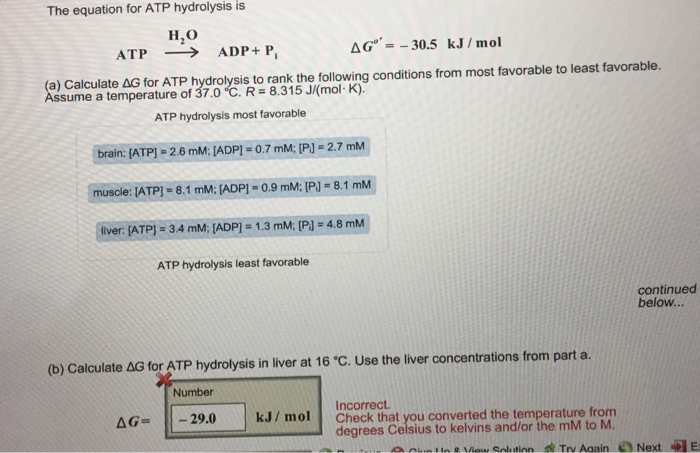 Solved The Equation For Atp Hydrolysis Is A Calculate