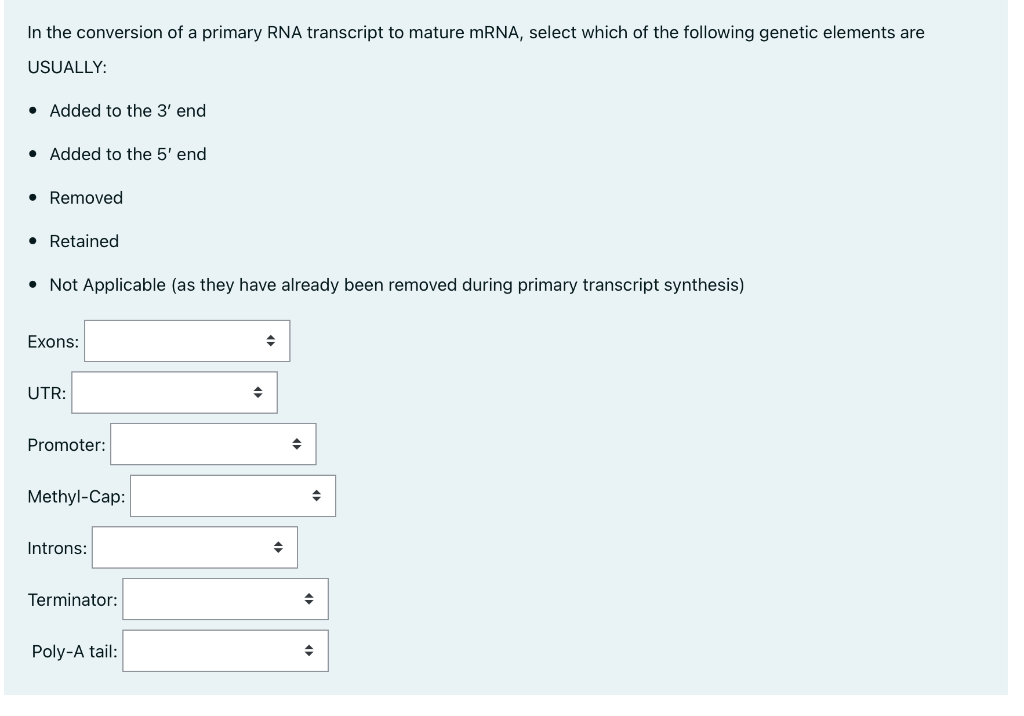 Solved In the conversion of a primary RNA transcript to | Chegg.com