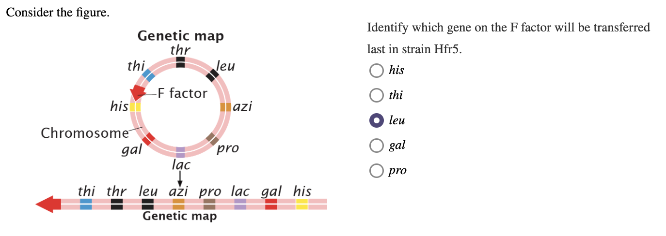 Solved Consider the figure.Identify which gene on the F | Chegg.com