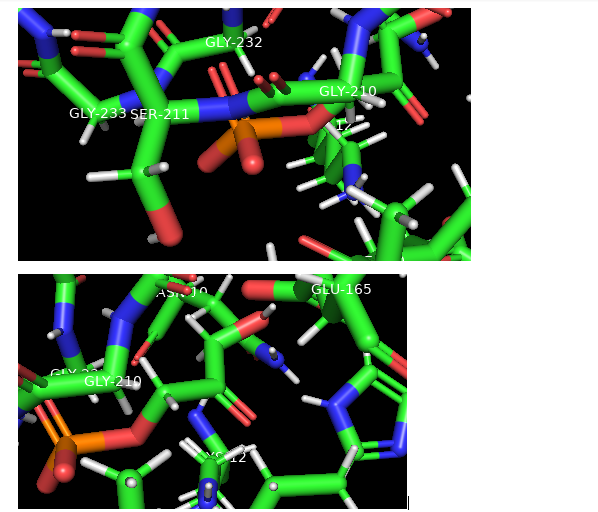 ALA 234 GLY-233 LYS-12 A GLY-2B2 VALI 31 ALA-212 | Chegg.com