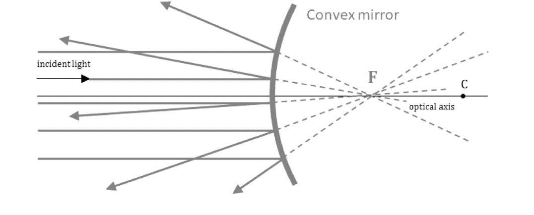 Solved On which side of the mirror is the focal point of a | Chegg.com