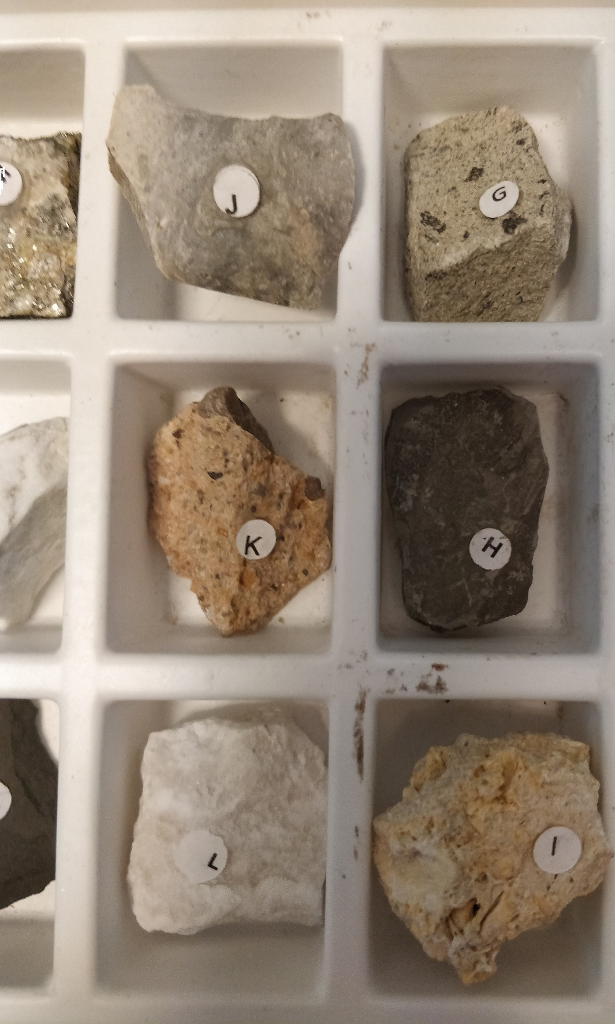 Solved (Earth Science) Sedimentary Rocks Identification | Chegg.com