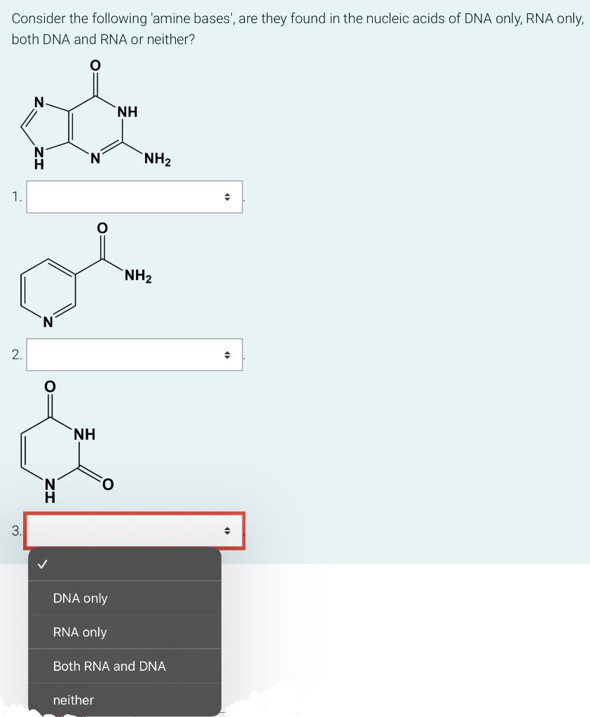 Solved Consider the following 'amine bases', are they found | Chegg.com