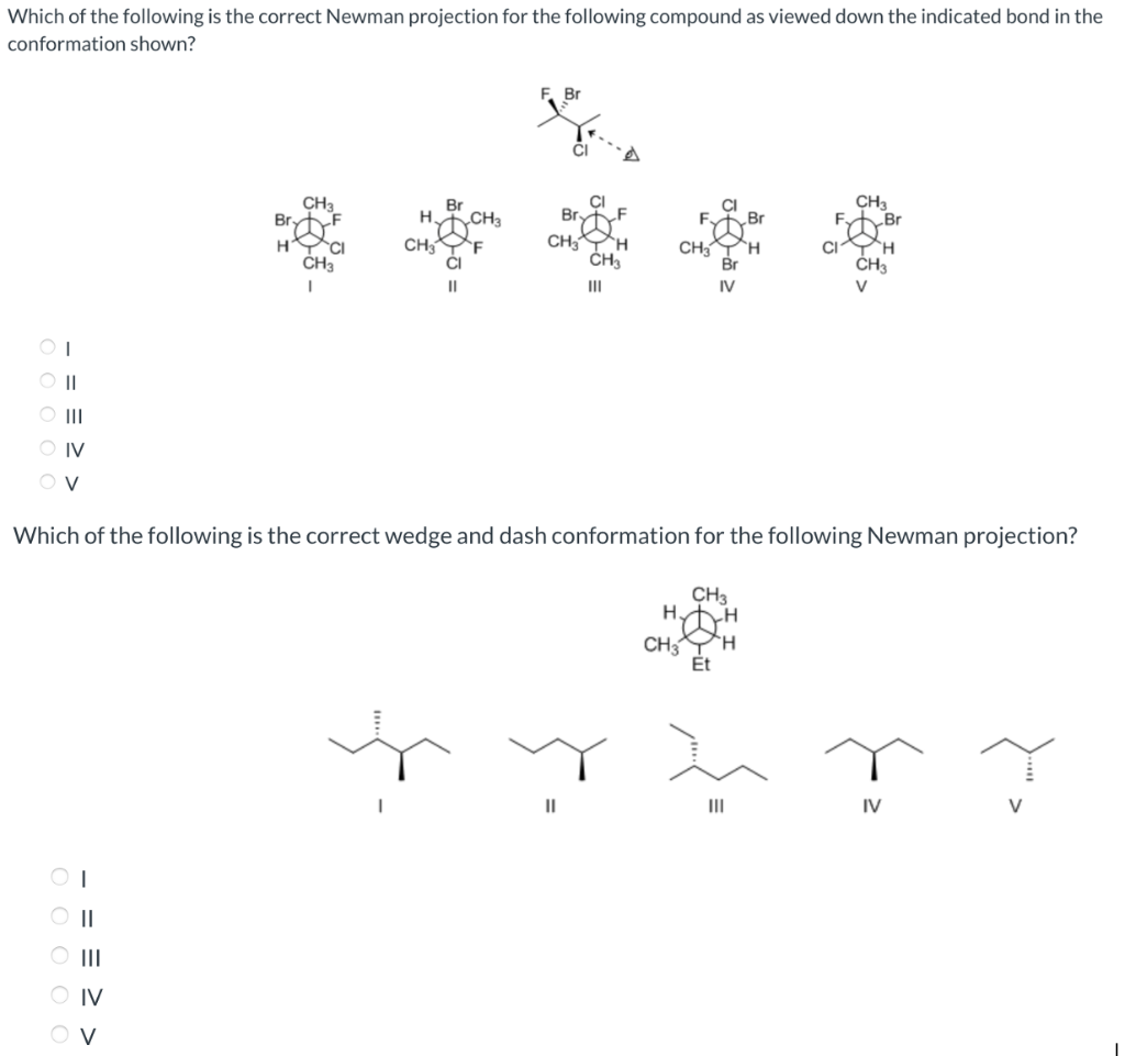 Solved Which of the following is the correct Newman | Chegg.com