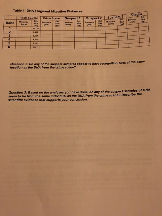 Solved Table 1: DNA Fragment Migration Distances Victim | Chegg.com