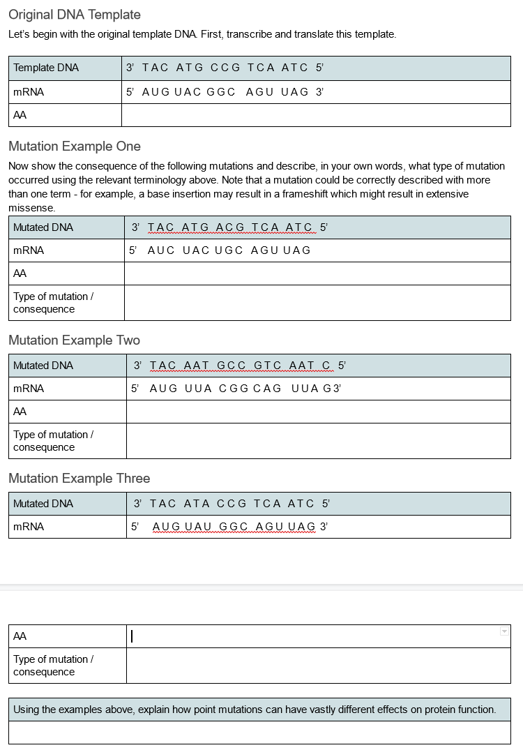 Solved Original DNA Template Let's begin with the original | Chegg.com