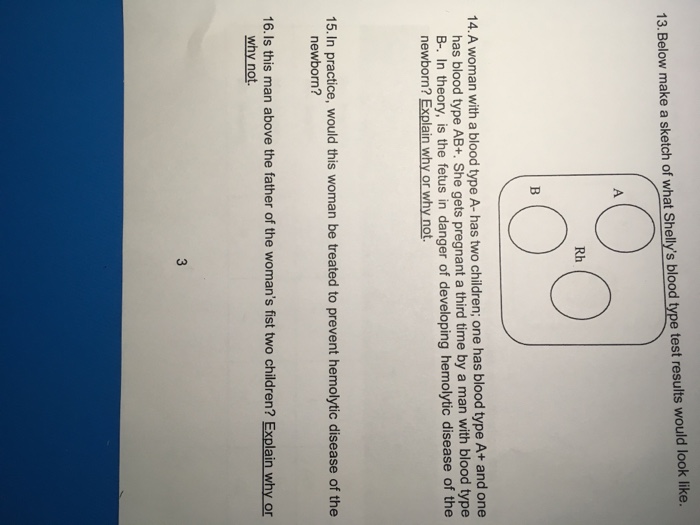 Solved 13. Below make a sketch of what Shelly's blood type | Chegg.com