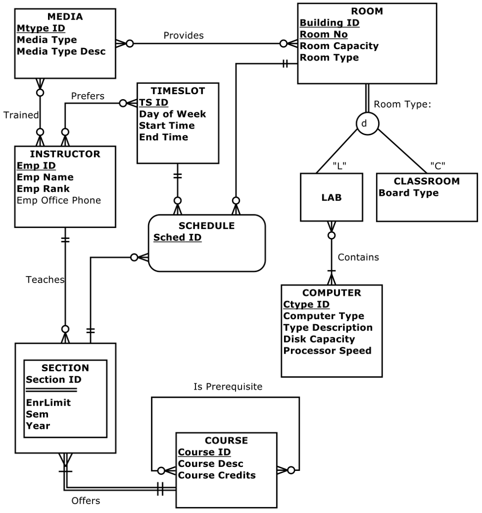 Solved In ERDPlus, create ER diagram and convert these | Chegg.com