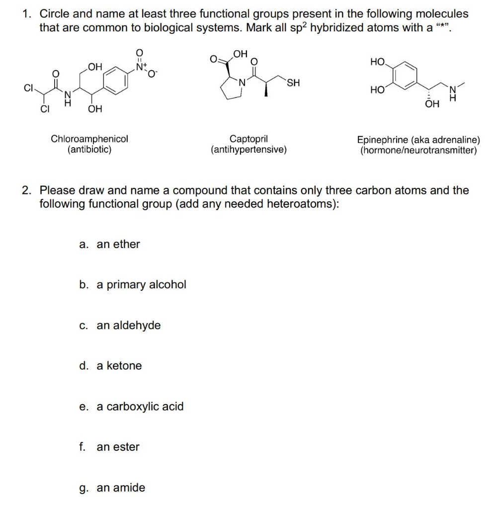 Solved 1. Circle and name at least three functional groups | Chegg.com