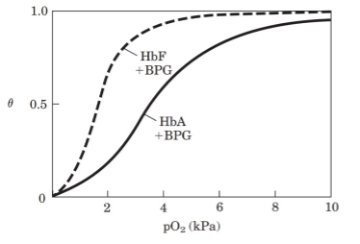 Solved Problem: When all the BPG present in HbA and HbF | Chegg.com