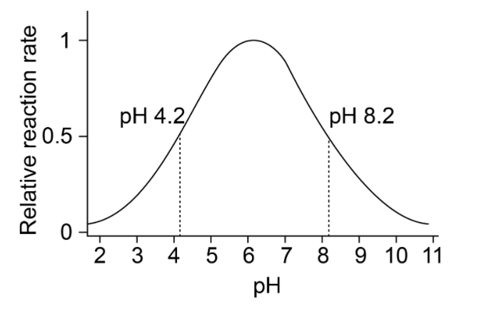 Solved The activity of an enzyme was measured at various | Chegg.com