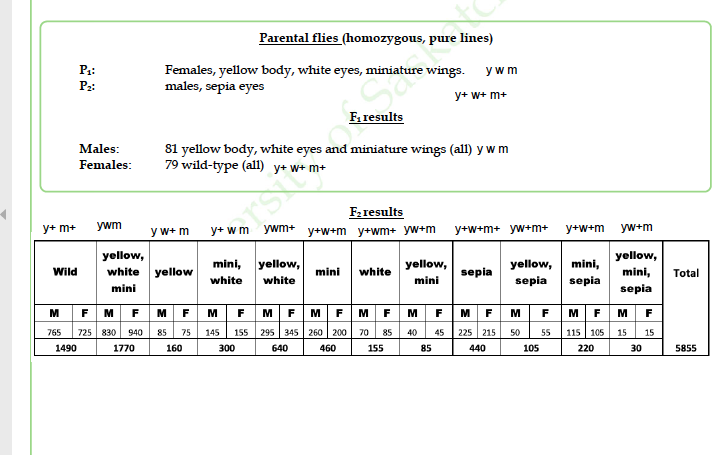 Solved Based on the offspring data (F1 and F2 generations), | Chegg.com