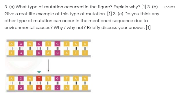Solved 3. (a) What type of mutation occurred in the figure? | Chegg.com