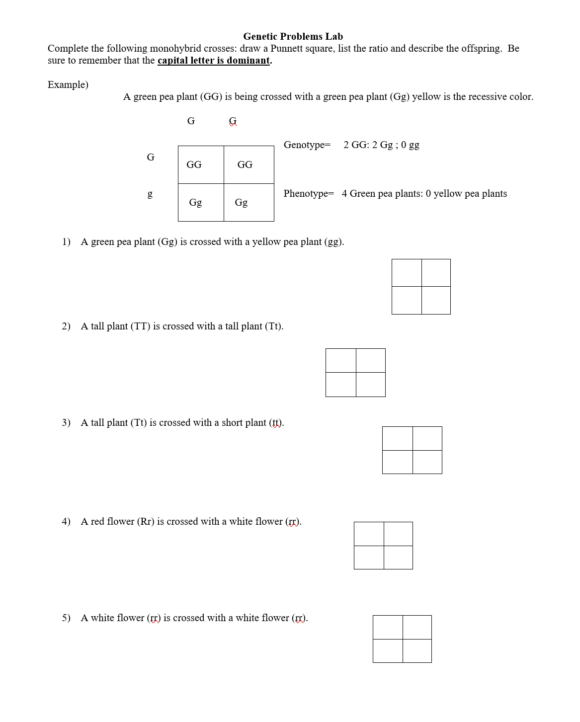 Solved Genetic Problems Lab Complete the following | Chegg.com