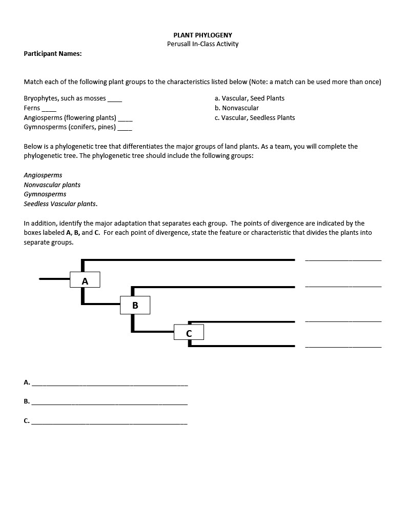 Solved PLANT PHYLOGENY Perusall In-Class Activity | Chegg.com