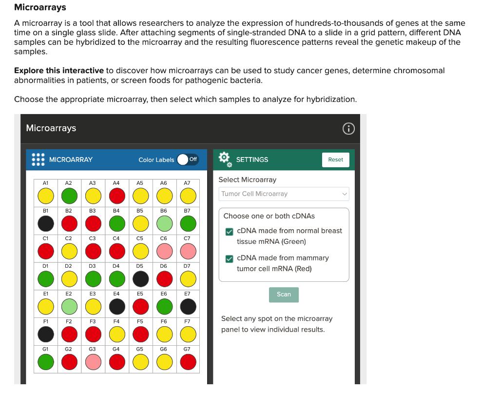 Solved A Microarray Is A Tool That Allows Researchers To 