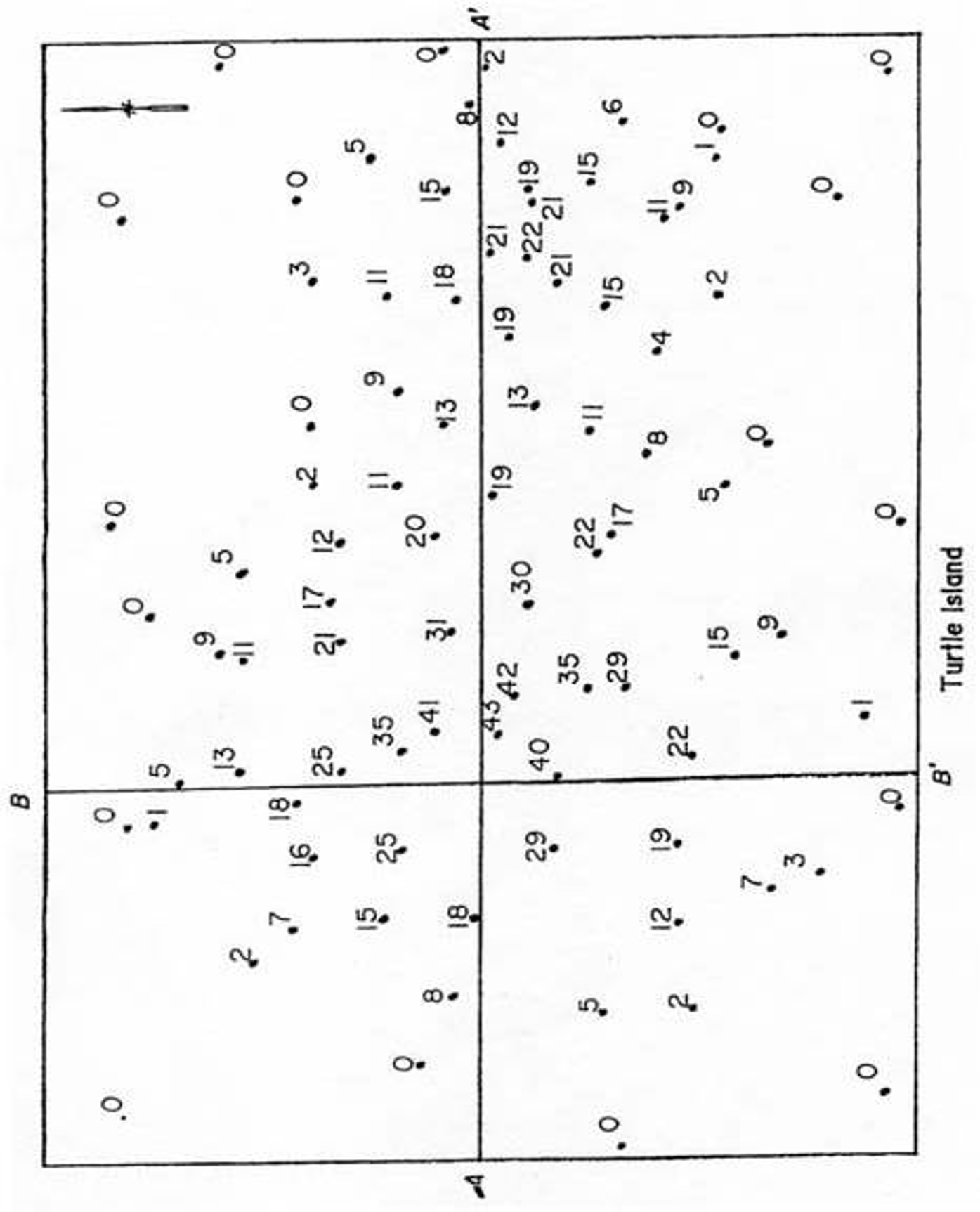 Solved 2. Making a Contour Map of Turtle Island: A map of | Chegg.com