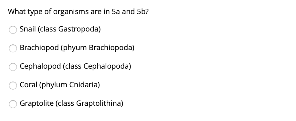 Solved FAUNA 2 2a 2b 2c 2d 2e | Chegg.com