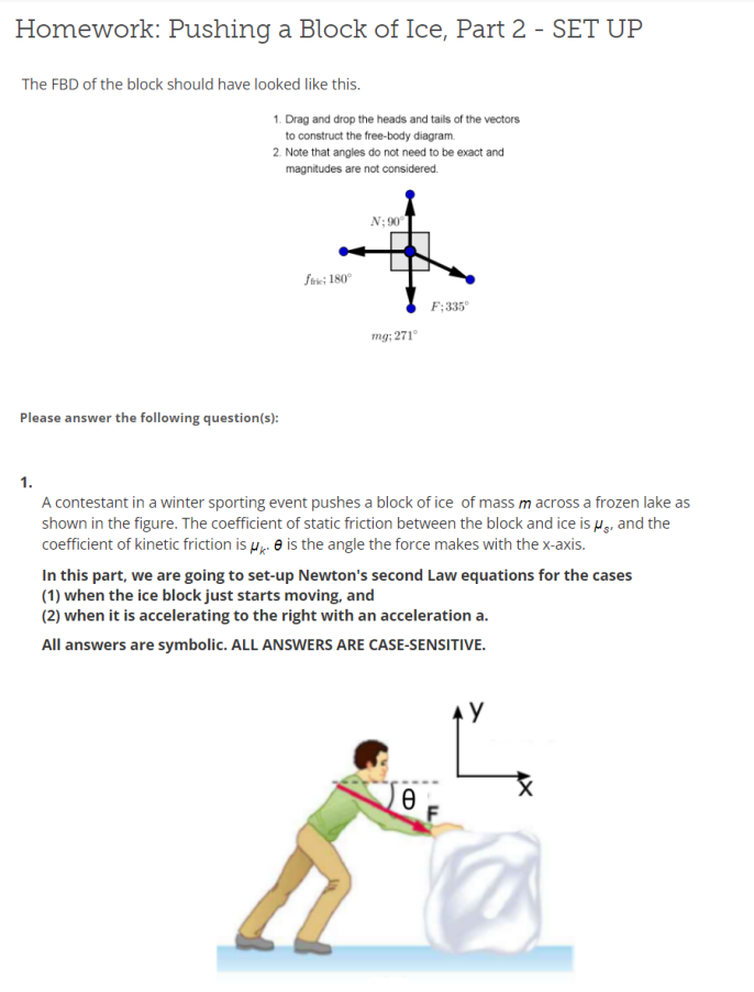 Solved Homework: Pushing a Block of Ice, Part 2 - SET UP The | Chegg.com