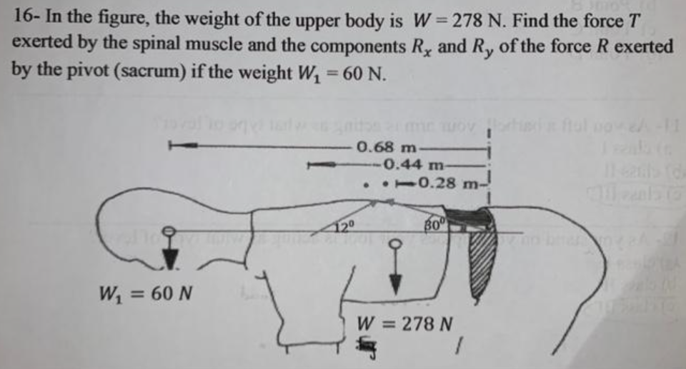 Solved 16- In the figure, the weight of the upper body is | Chegg.com