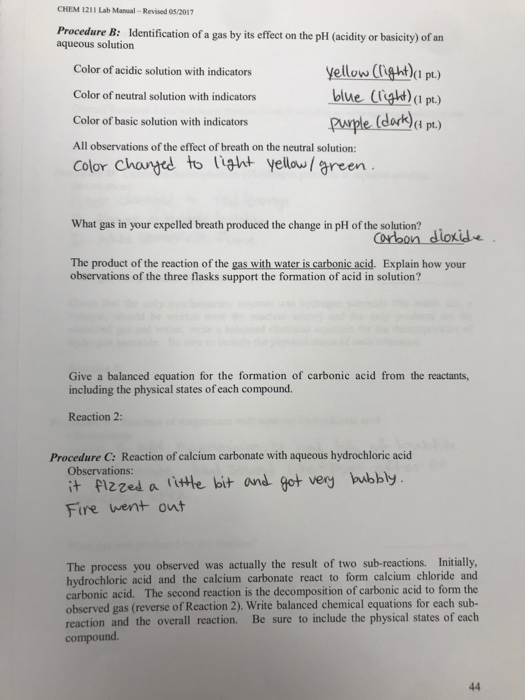 Solved In the spaces below, write detailed observations | Chegg.com