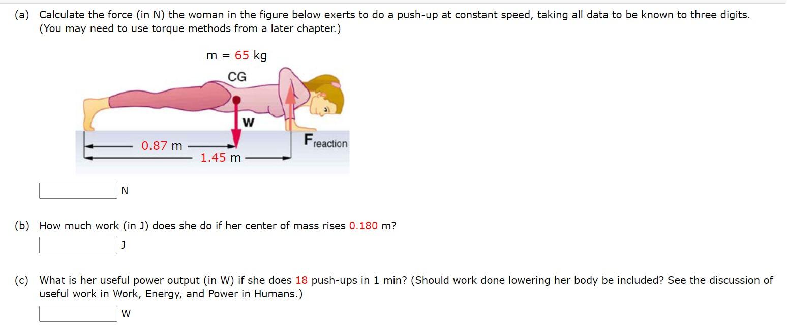 Solved (a) Calculate the force (in N) the woman in the | Chegg.com Solved (a) Calculate the force (in N) the woman in the | Chegg.com